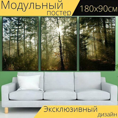 Модульный постер "Деревья, лес, туман" 180 x 90 см. для интерьера