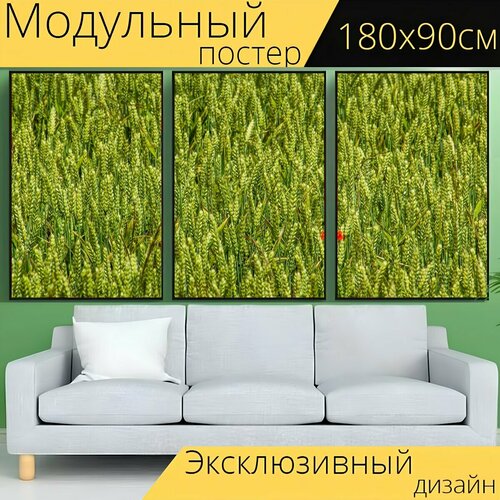 Модульный постер "Мак, пшеница, природа" 180 x 90 см. для интерьера
