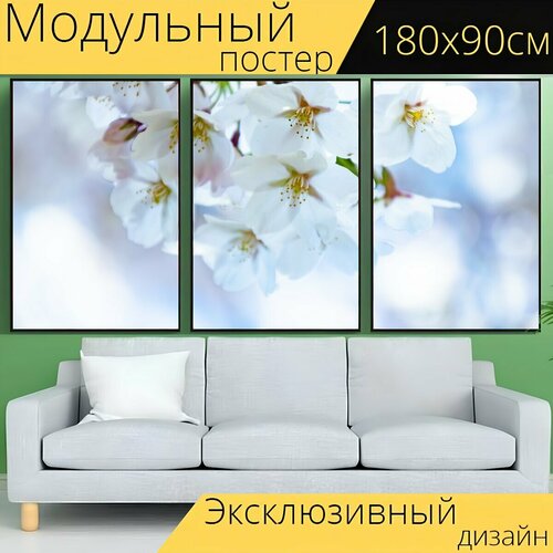 Модульный постер "Цветение сакуры, цветок, солнечный" 180 x 90 см. для интерьера