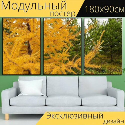 Модульный постер "Осень, лиственница, сосна" 180 x 90 см. для интерьера