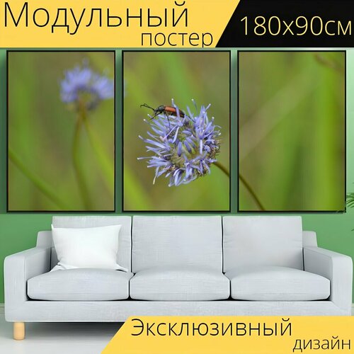 Модульный постер "Цветок, насекомое, синий" 180 x 90 см. для интерьера