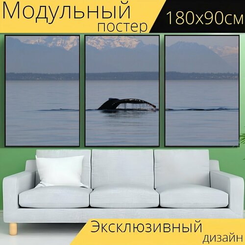 Модульный постер "Горбатый, кит, западное побережье" 180 x 90 см. для интерьера