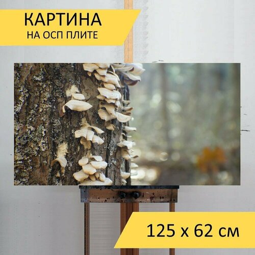 Картина на ОСП 125х62 см. "Лес, грибы, природа" горизонтальная, для интерьера, с креплениями