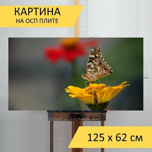 Картина на ОСП 125х62 см. "Природа, бабочка, насекомые" горизонтальная, для интерьера, с креплениями
