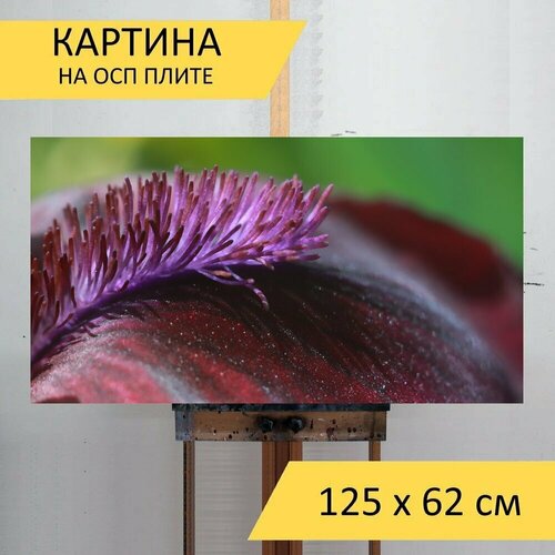 Картина на ОСП 125х62 см. "Цветок, фиолетовый, природа" горизонтальная, для интерьера, с креплениями
