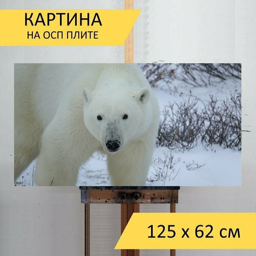 Картина на ОСП 125х62 см. "Полярный медведь, нести, арктический" горизонтальная, для интерьера, с креплениями