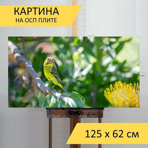 Картина на ОСП 125х62 см. "Канарские, птица, желтый" горизонтальная, для интерьера, с креплениями