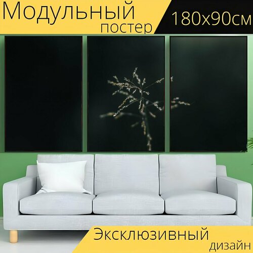 Модульный постер "Трава, природа, завод" 180 x 90 см. для интерьера