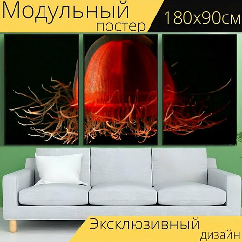 Модульный постер "Медуза, жизнь, красный" 180 x 90 см. для интерьера