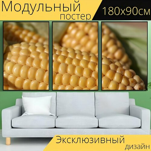 Модульный постер "Кукуруза в початках, кукуруза, природа" 180 x 90 см. для интерьера
