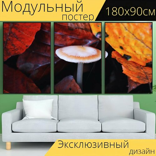 Модульный постер "Гриб, грибок, листья" 180 x 90 см. для интерьера