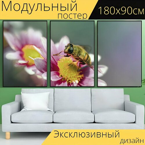 Модульный постер "Пчела, насекомое, цветок" 180 x 90 см. для интерьера