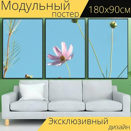 Модульный постер "Цветок, природа, цвести" 180 x 90 см. для интерьера