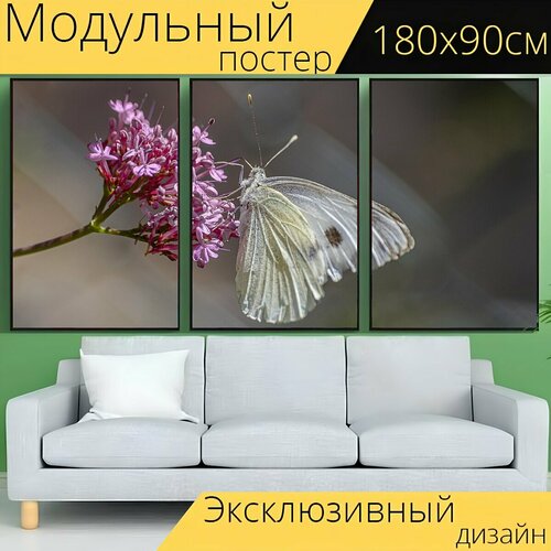 Модульный постер "Бабочка, насекомое, белый" 180 x 90 см. для интерьера