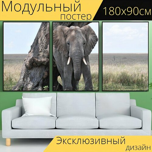 Модульный постер "Слон, серенгети, африке" 180 x 90 см. для интерьера