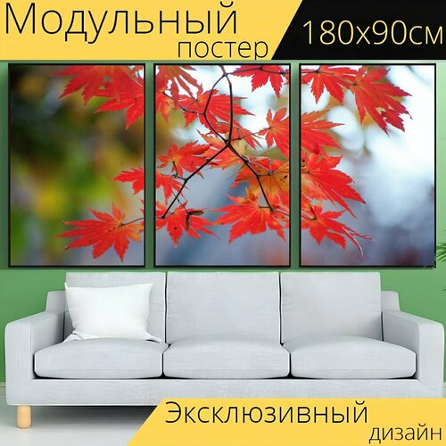 Модульный постер "Осенние листья, осень, лист" 180 x 90 см. для интерьера