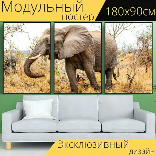 Модульный постер "Слон, животное, мамонт" 180 x 90 см. для интерьера