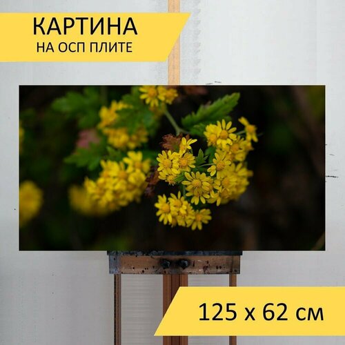 Картина на ОСП 125х62 см. "Дикий хризантема, цветок, желтый" горизонтальная, для интерьера, с креплениями