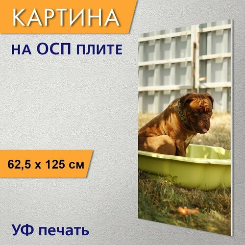 Вертикальная картина на ОСП "Бургундия, собака, летом" 62x125 см. для интерьериа