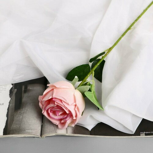 Цветы искусственные "Роза Вивальди" d-7 50 см, розовый 10104938