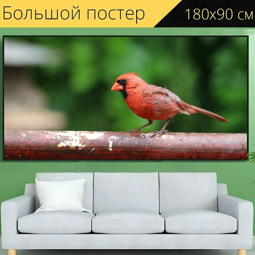 Большой постер "Птица, кардинал, природа" 180 x 90 см. для интерьера