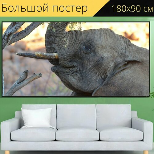 Большой постер "Слон, молодой слон, слоненок" 180 x 90 см. для интерьера