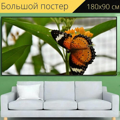 Большой постер "Окрашенные леди, бабочка, тропические бабочки" 180 x 90 см. для интерьера