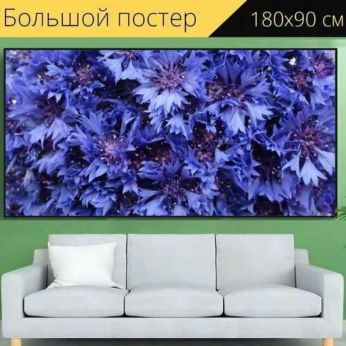Большой постер "Васильки, цветы, природа" 180 x 90 см. для интерьера