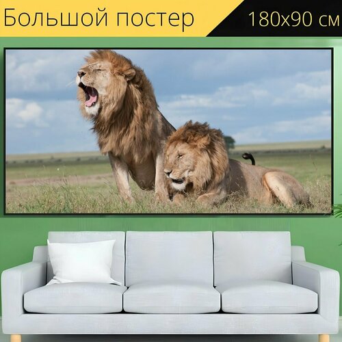 Большой постер "Лев, хищник, животное" 180 x 90 см. для интерьера