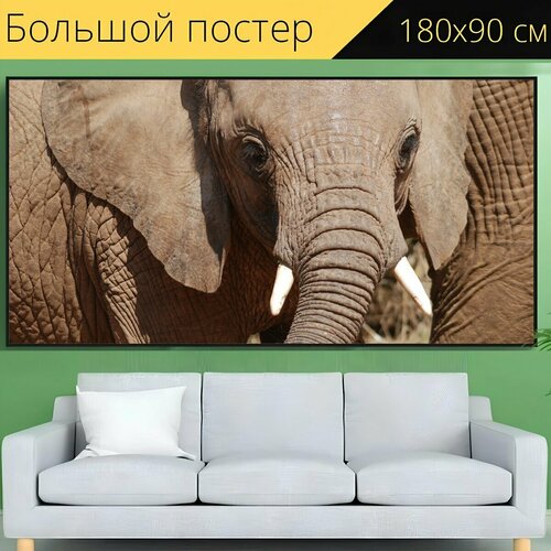 Большой постер "Слоненок, танзания, слон" 180 x 90 см. для интерьера