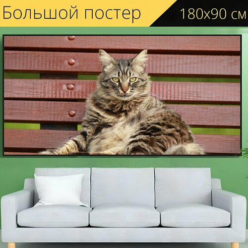 Большой постер "Животное, кошка, скамейка" 180 x 90 см. для интерьера