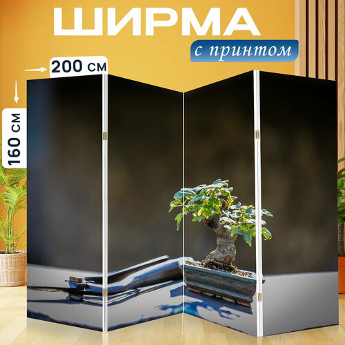 Ширма перегородка с принтом "Бонсай, вуд, клен" на холсте - 200x160 см. для зонирования, раскладная