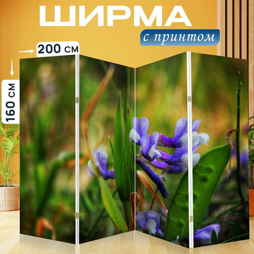 Ширма перегородка с принтом "Цветок, природа, фиолетовый" на холсте - 200x160 см. для зонирования, раскладная