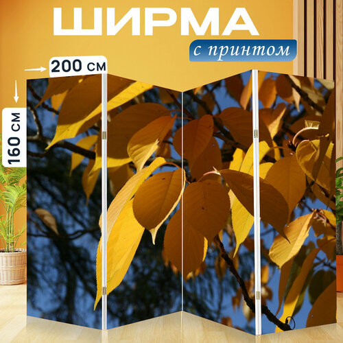 Ширма перегородка с принтом "Падение, листья, осенний цвет" на холсте - 200x160 см. для зонирования, раскладная