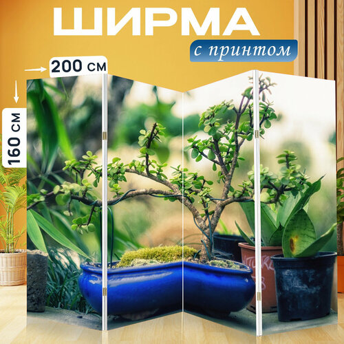 Ширма перегородка с принтом "Завод, бонсай, дерево" на холсте - 200x160 см. для зонирования, раскладная