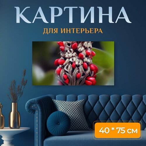 Картина на холсте "Магнолия, фрукты, семена" на подрамнике 75х40 см. для интерьера