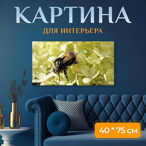 Картина на холсте "Шмель, цветочная пыльца, насекомое" на подрамнике 75х40 см. для интерьера