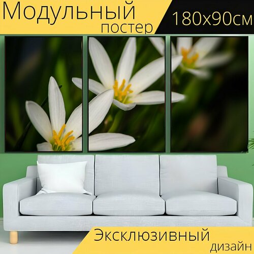 Модульный постер "Белая лилия, лили, цветок" 180 x 90 см. для интерьера