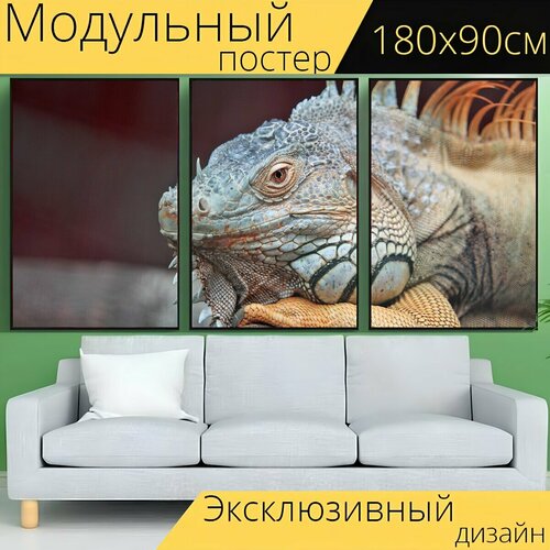 Модульный постер "Игуана, рептилия, ящерица" 180 x 90 см. для интерьера