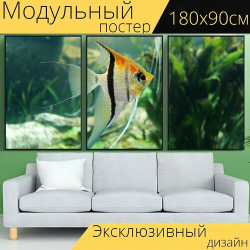 Модульный постер "Подводный, рыбы, аквариум" 180 x 90 см. для интерьера