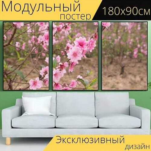 Модульный постер "Персик, цветы, весна" 180 x 90 см. для интерьера