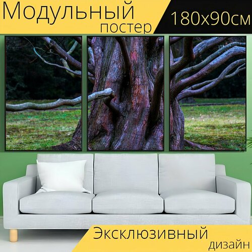 Модульный постер "Дерево, ветви, корень" 180 x 90 см. для интерьера