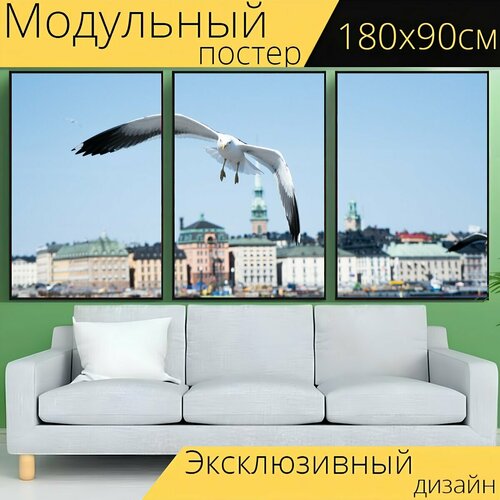 Модульный постер "Чайка, полет, птица" 180 x 90 см. для интерьера
