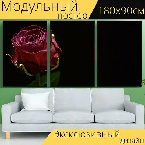 Модульный постер "Роза, красный, цветок" 180 x 90 см. для интерьера