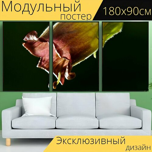 Модульный постер "Белладонна, цвести, пасленовые растения" 180 x 90 см. для интерьера