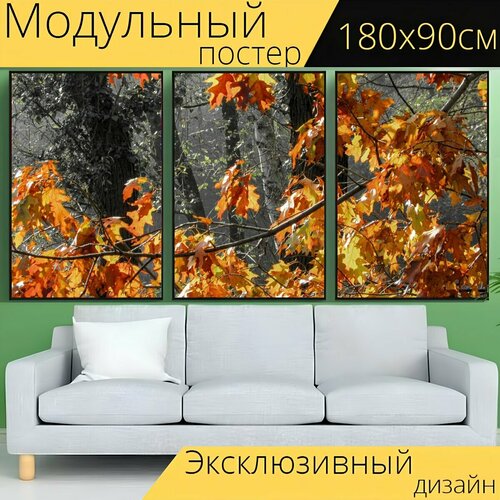 Модульный постер "Осень, древесина, листья" 180 x 90 см. для интерьера