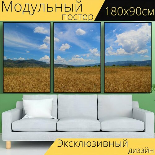 Модульный постер "Пшеница, зерна, поле" 180 x 90 см. для интерьера