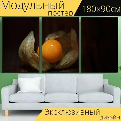 Модульный постер "Физалис, физалис перуанский, мыс крыжовник" 180 x 90 см. для интерьера