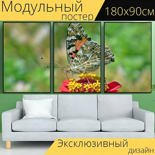 Модульный постер "Бабочка, насекомое, красочный" 180 x 90 см. для интерьера