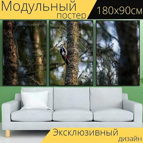 Модульный постер "Большой пятнистый дятел, птица, лес" 180 x 90 см. для интерьера